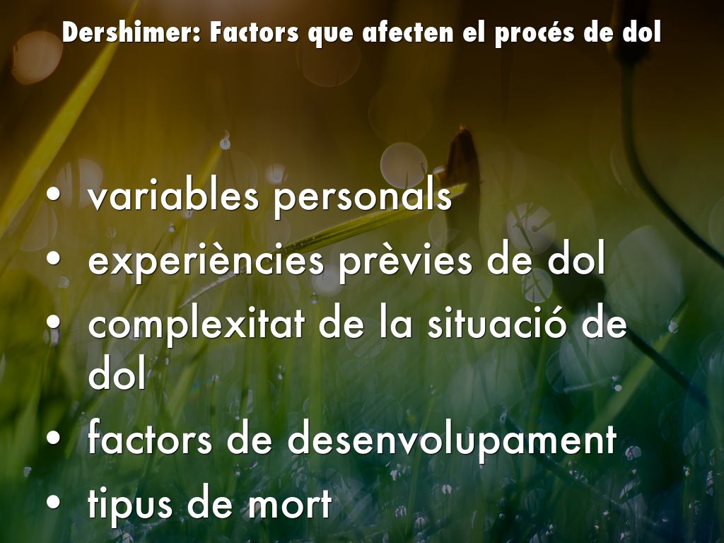 El cami del dol by adolf.gomez