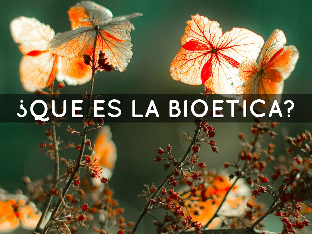 la bioetica y su problematica by Pame de los Santos
