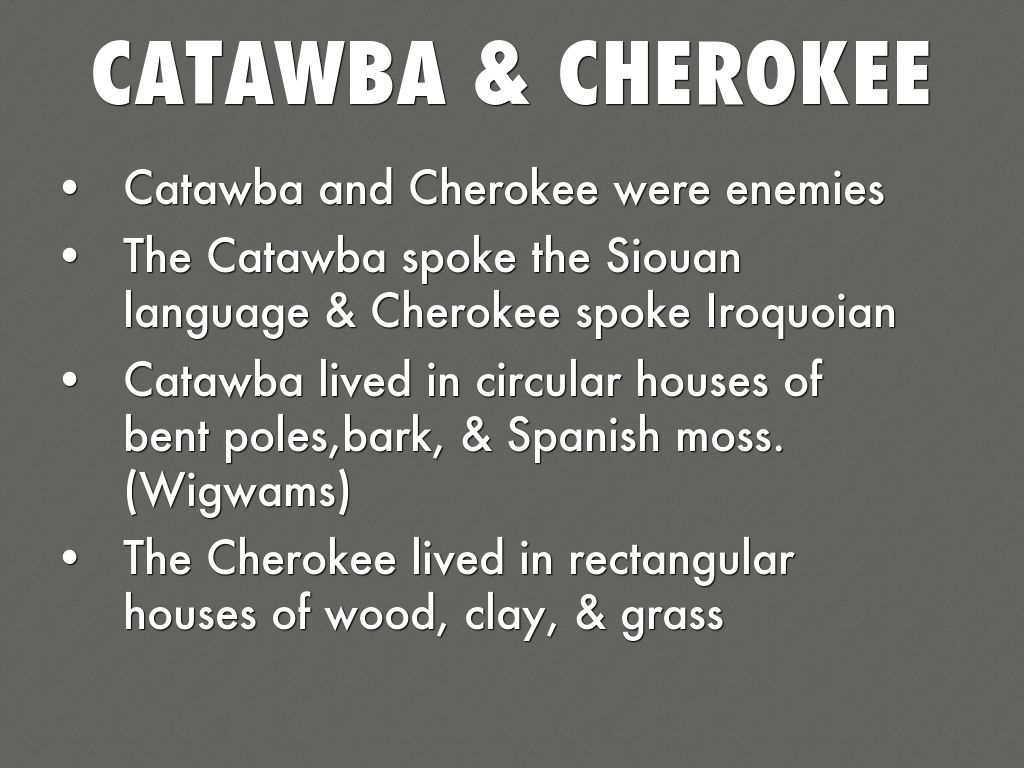 Project by Cierra Feaster