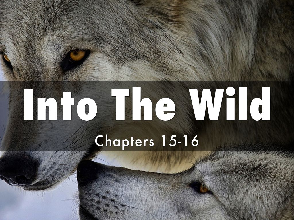 Into The Wild by Kaitlyn Belloli