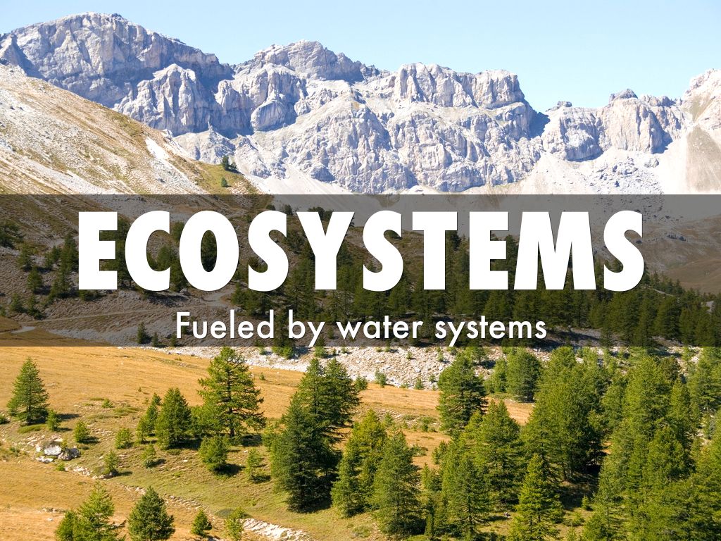 Watersheds by gcherepak7175