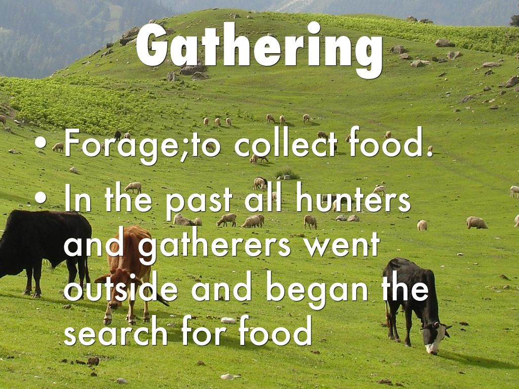 In The Wild by mizzkoolness