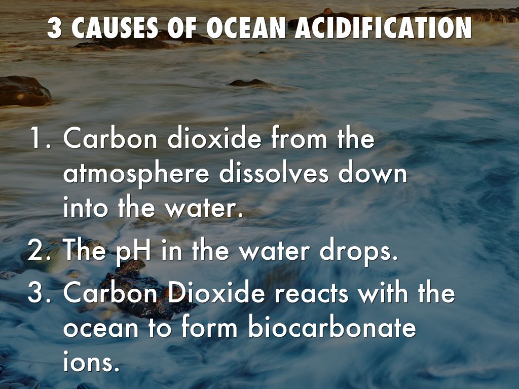 Ocean Acidification by Anna Leigh Isom