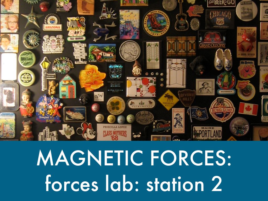FORCES AND MOTION UNIT PROJECT by difrancom23