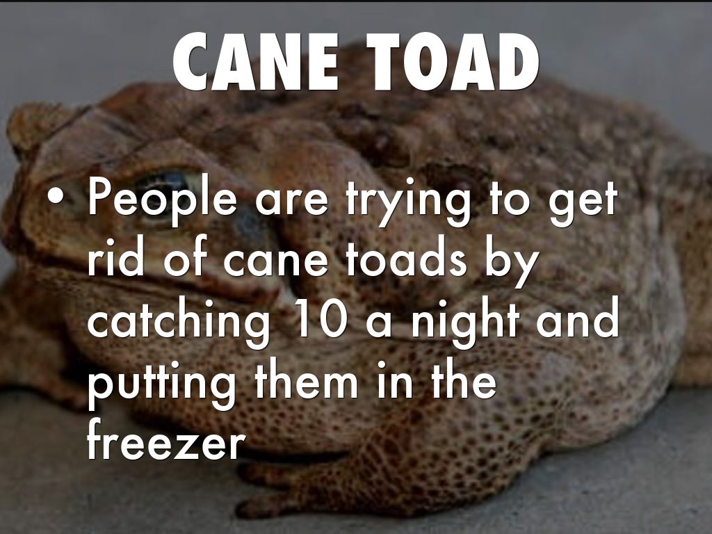 Science by Daniel Surra