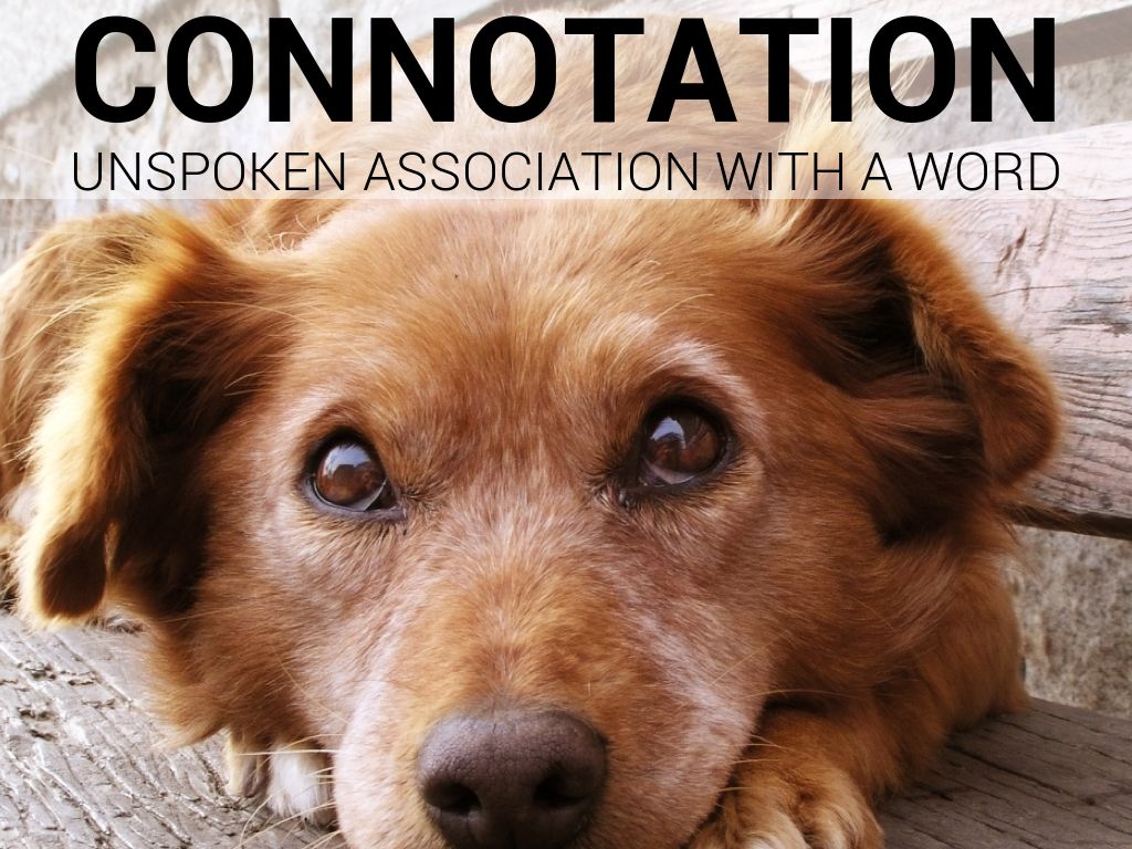 Poetry Terms by Jessica Vining