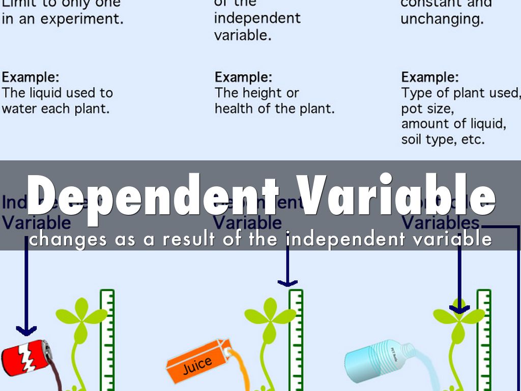 Biology Vocab By 1315042173