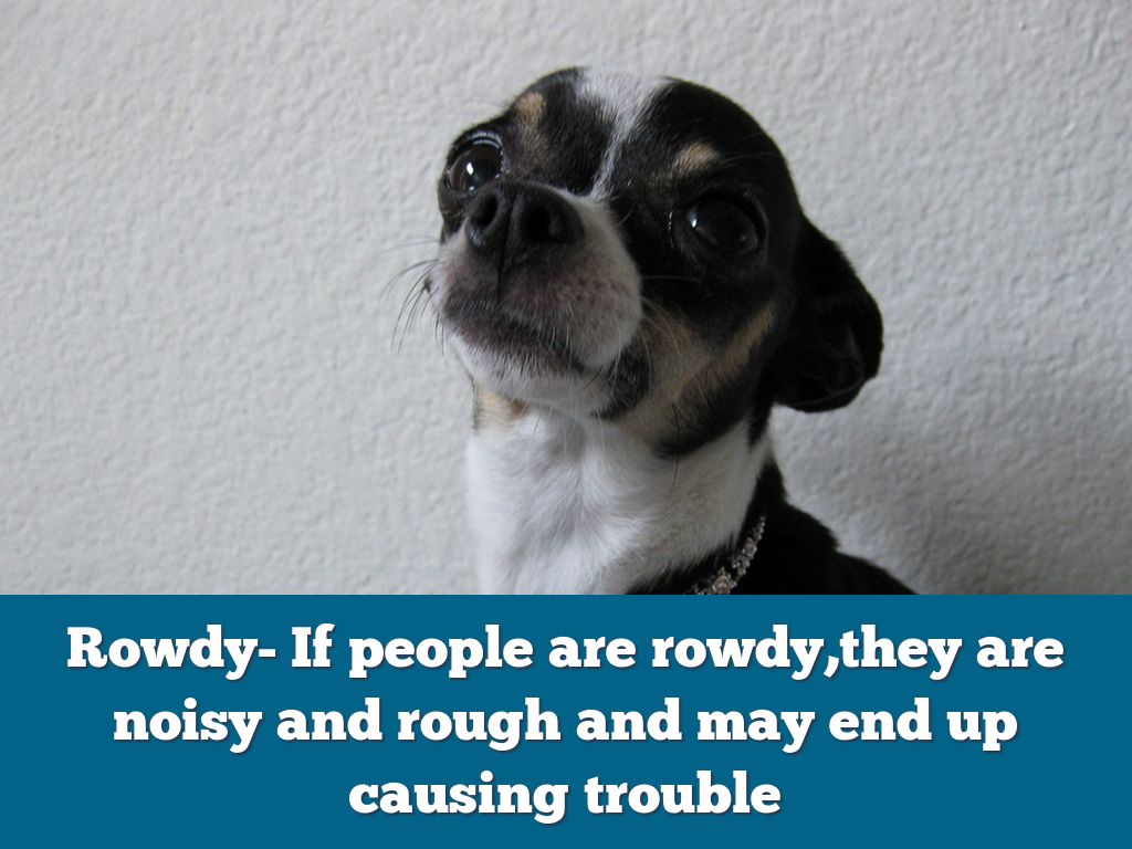 Vocabulary by Yasmine Segura