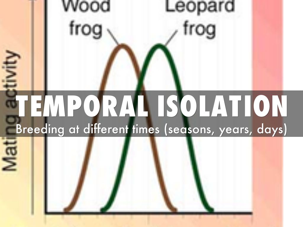 Words about by joe.hassell