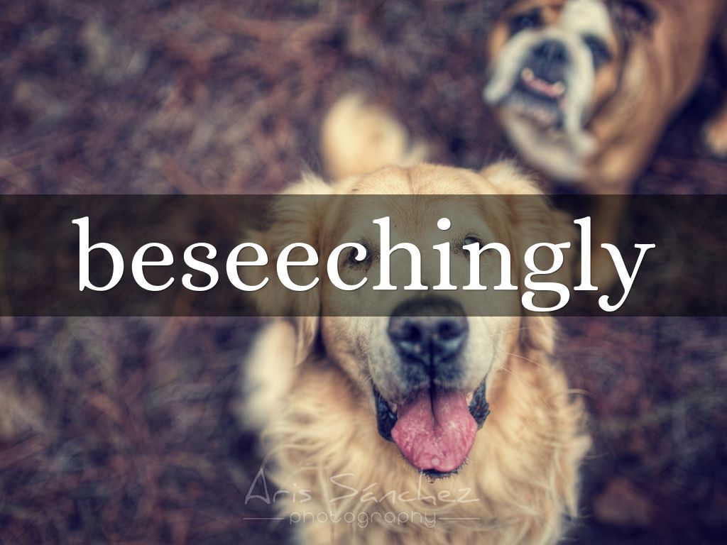 Shadow Spinner by Lauren O'Hearn