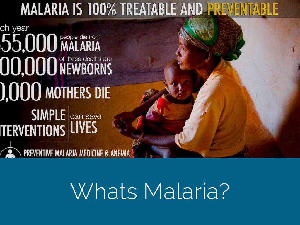 No Bite = No Malaria Digital Humanitarianism Project