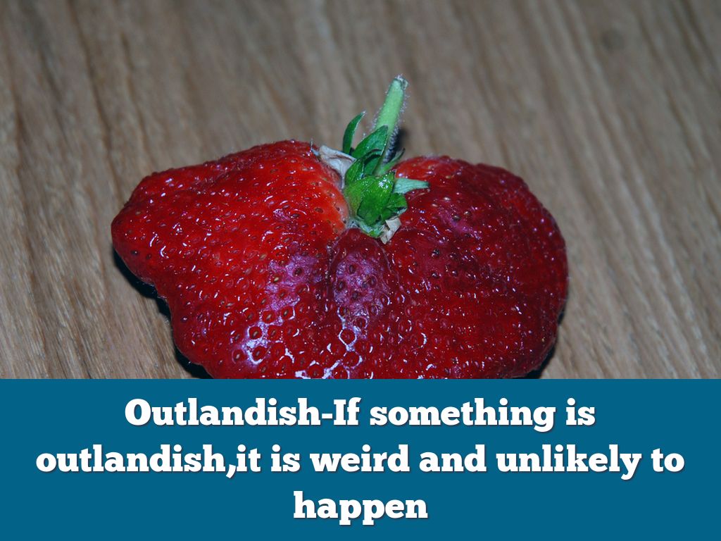 Vocabulary by Yasmine Segura