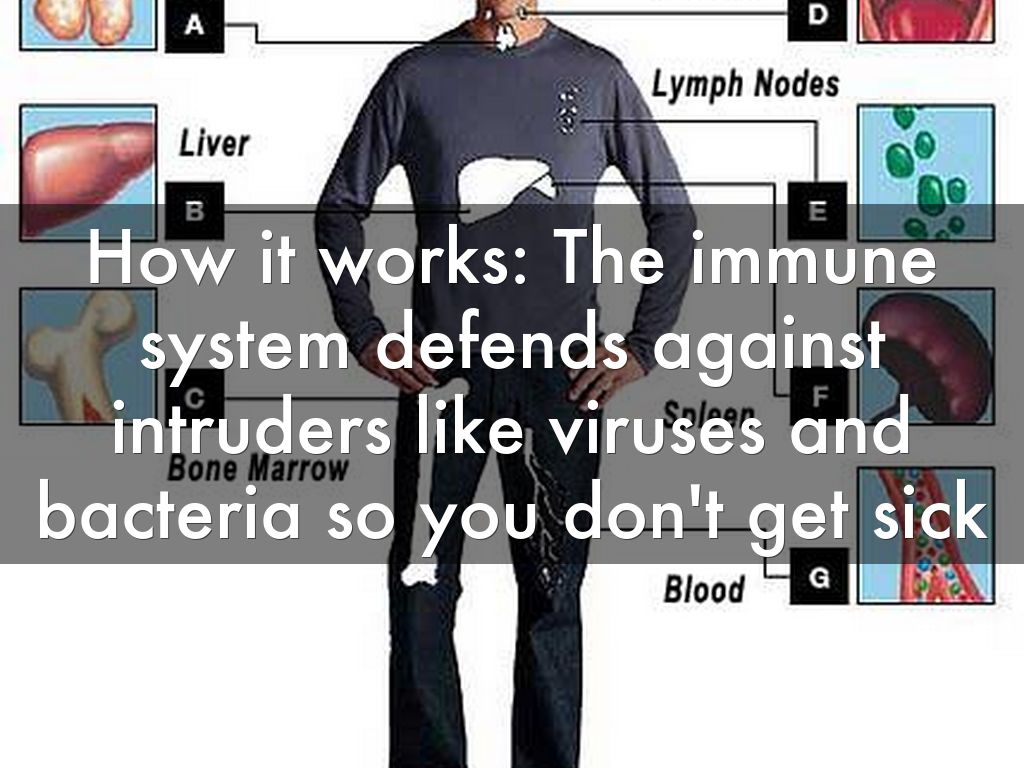 Human body project by Samuel Morales