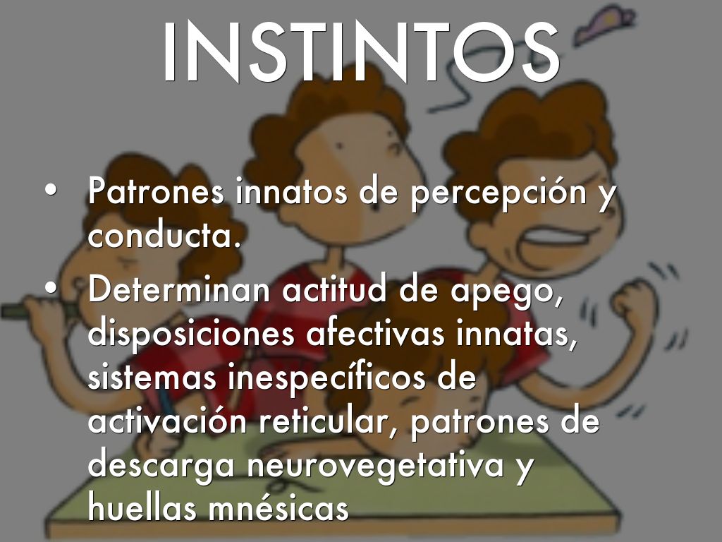 Instintos, afectos y relaciones objetales by diana.