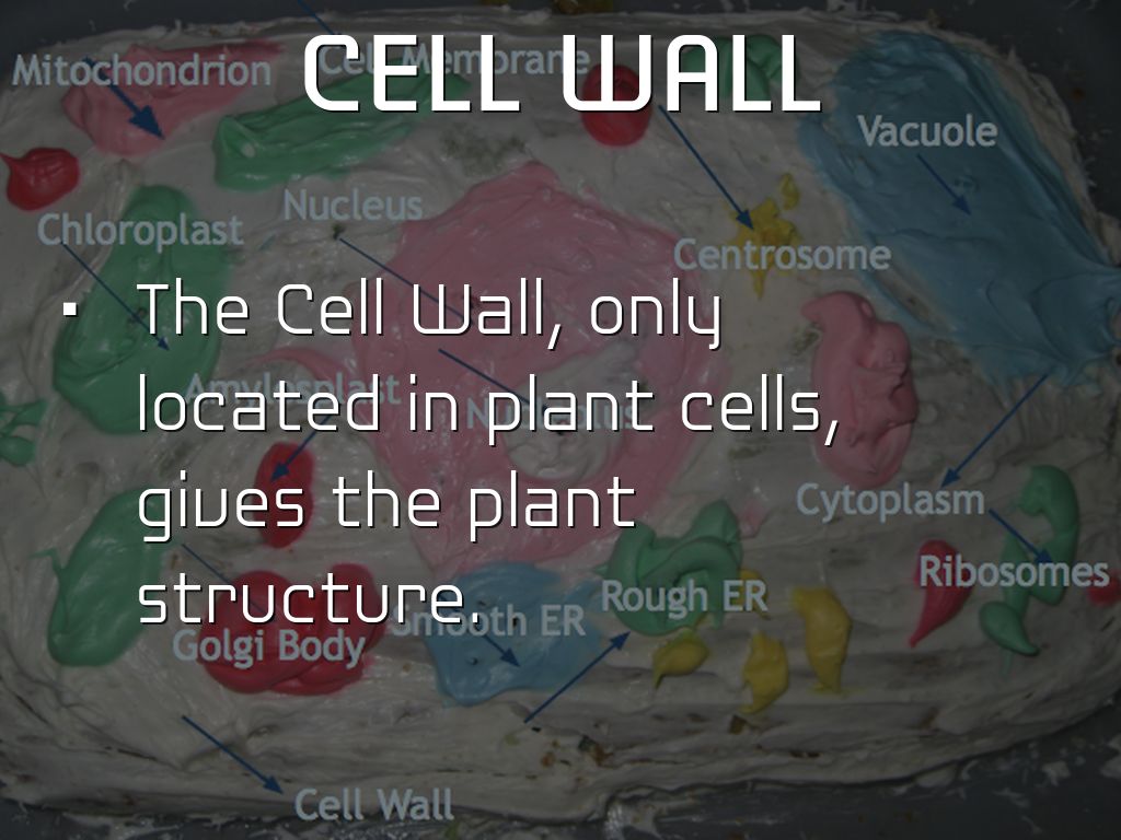 Plant Cell Vocabulary by Angie Stallbaumer