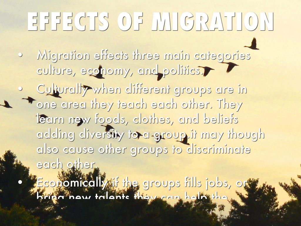 Human Geography by Mitchel Wells