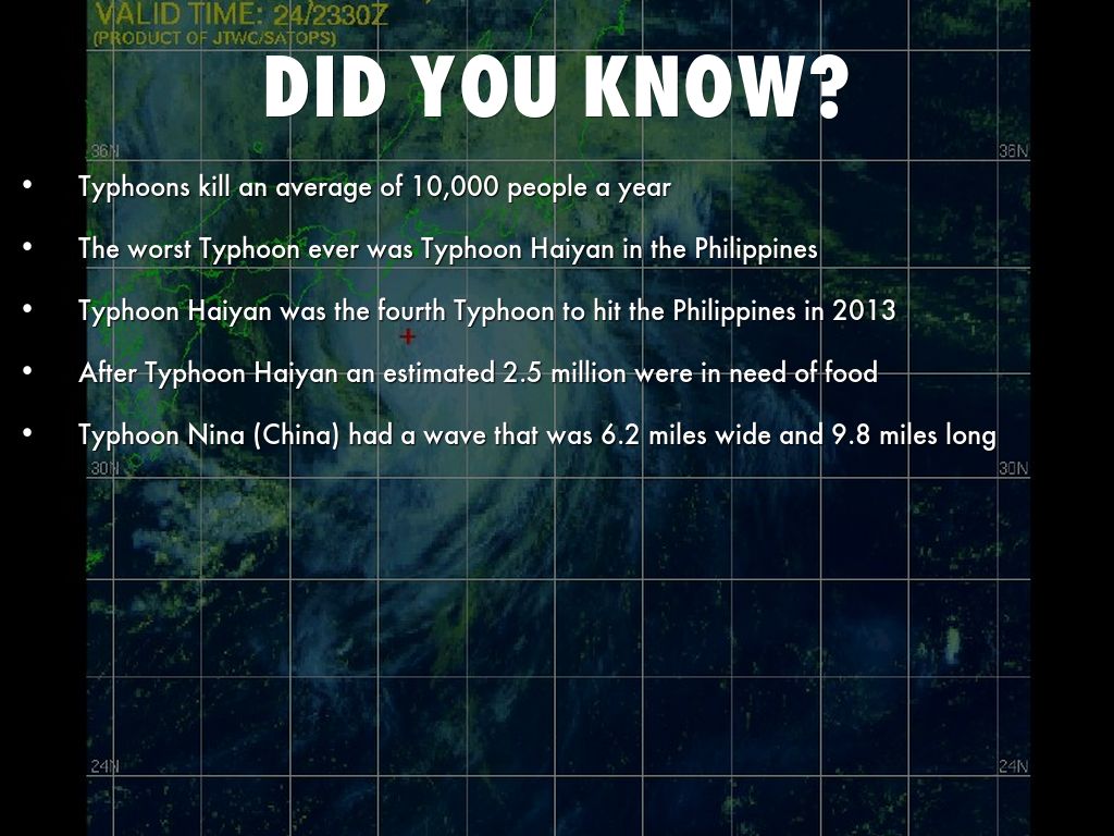 Typhoons by siegelzoe