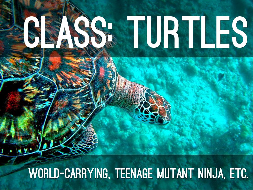 Programming as a Way of Life by Paul Pham