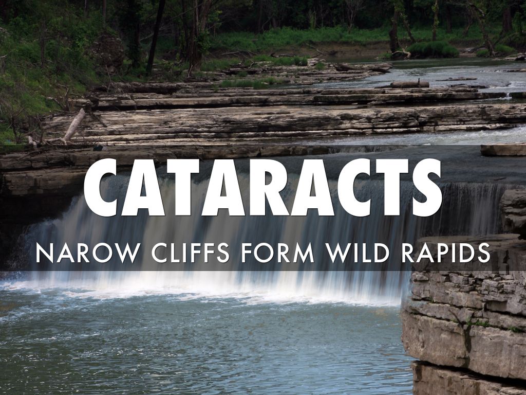 Chapter 2 Vocabulary by Darin Sisneros