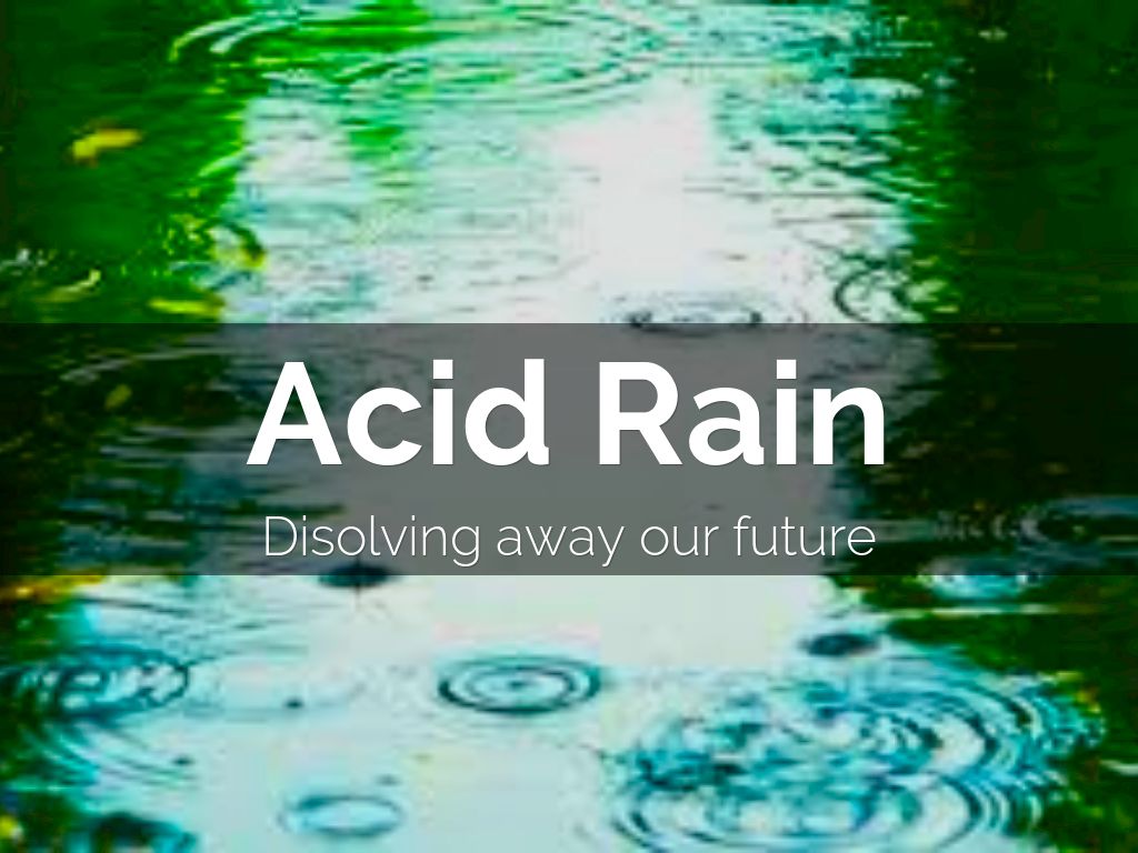 Acid Rain by cdykstra