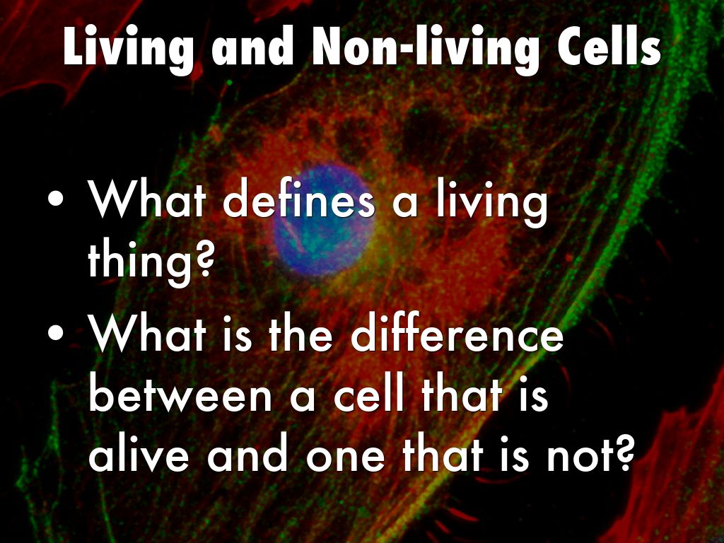 Living and Non-living Cells by Sarah Barela