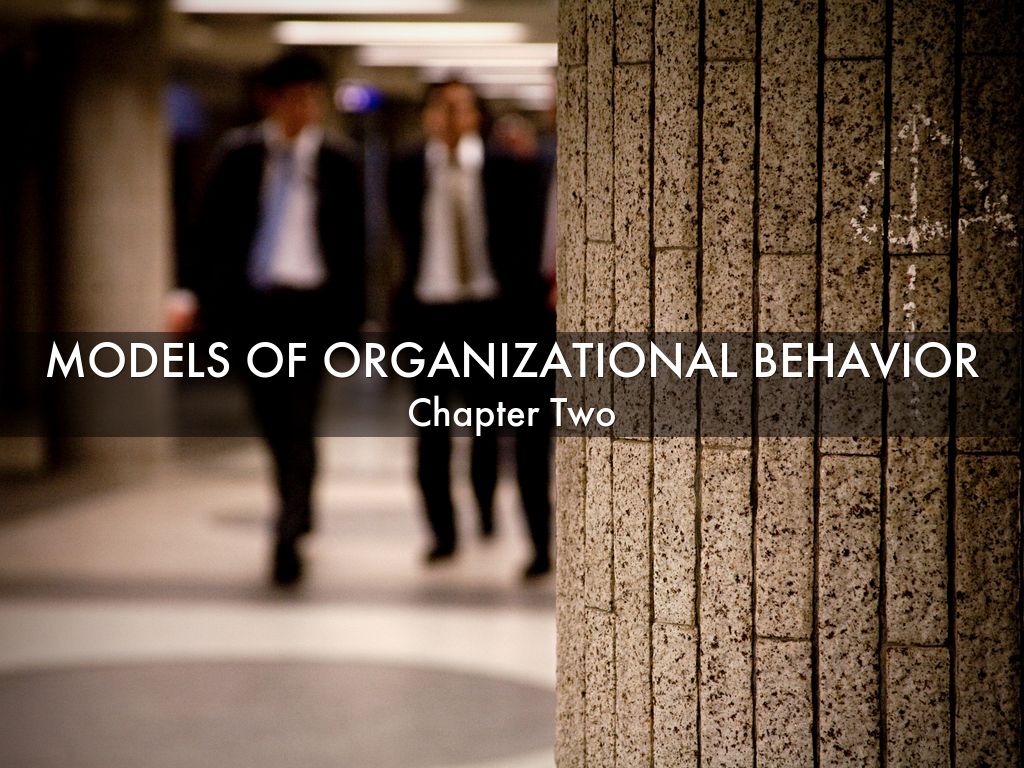 Models of Organizational Behavior by shlomielandesman