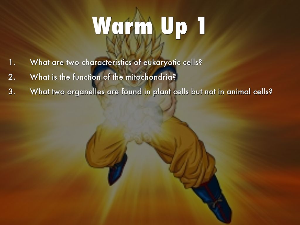 Unit 5 Cells by Maria Neumann