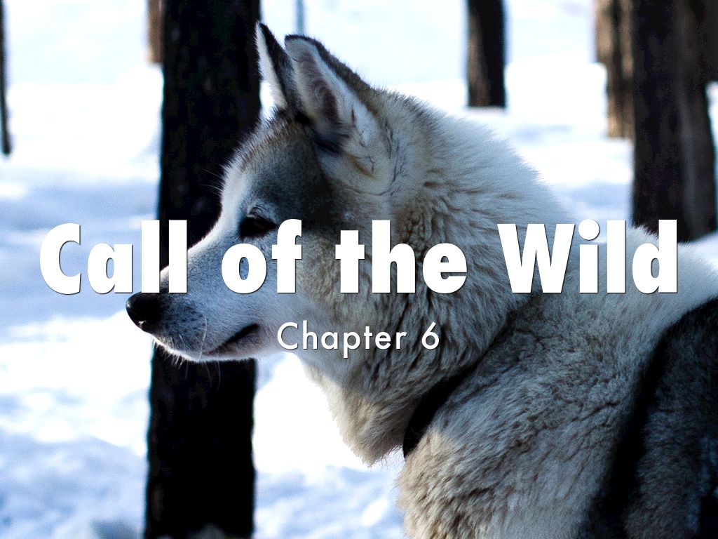 Call Of The Wild - Ch. 6 by Erin Sharp