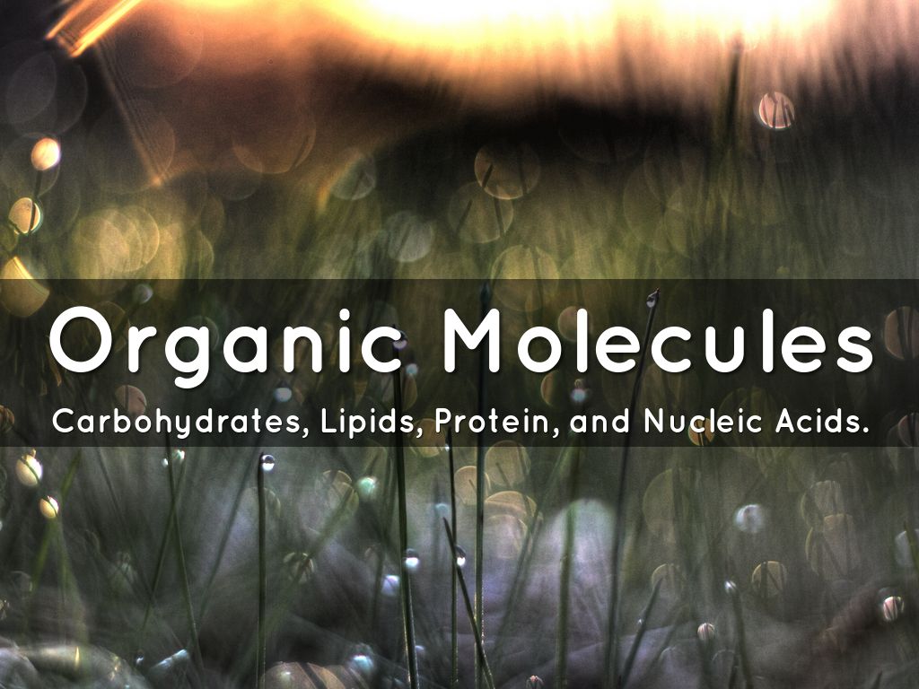 Organic Molecules by joeylaubscher