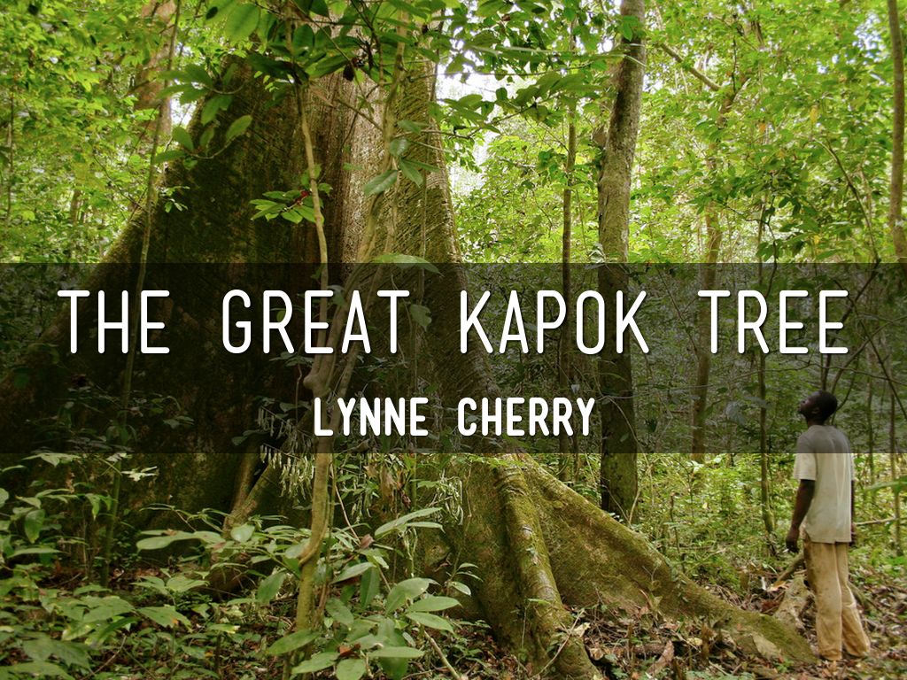 Presentations and Templates by Tyler Martin