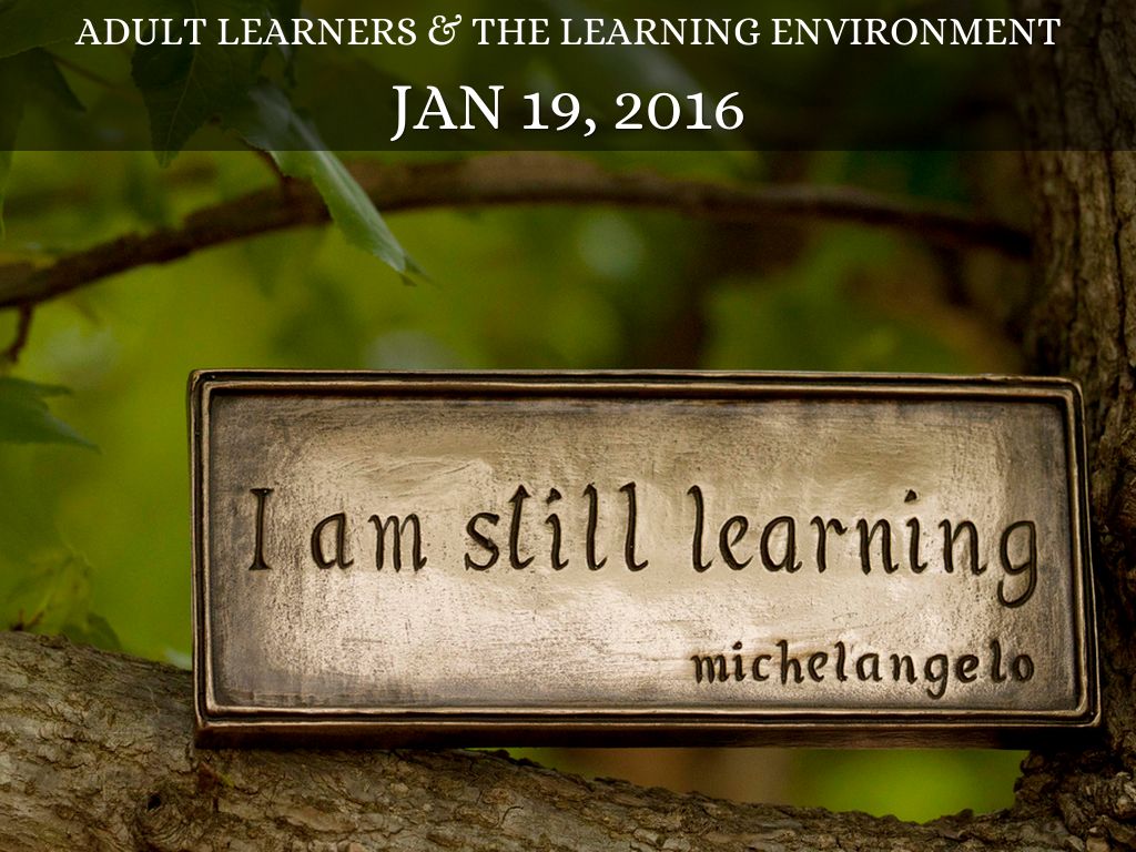 Adult Learners & the Learning Environment by Rhonda M.