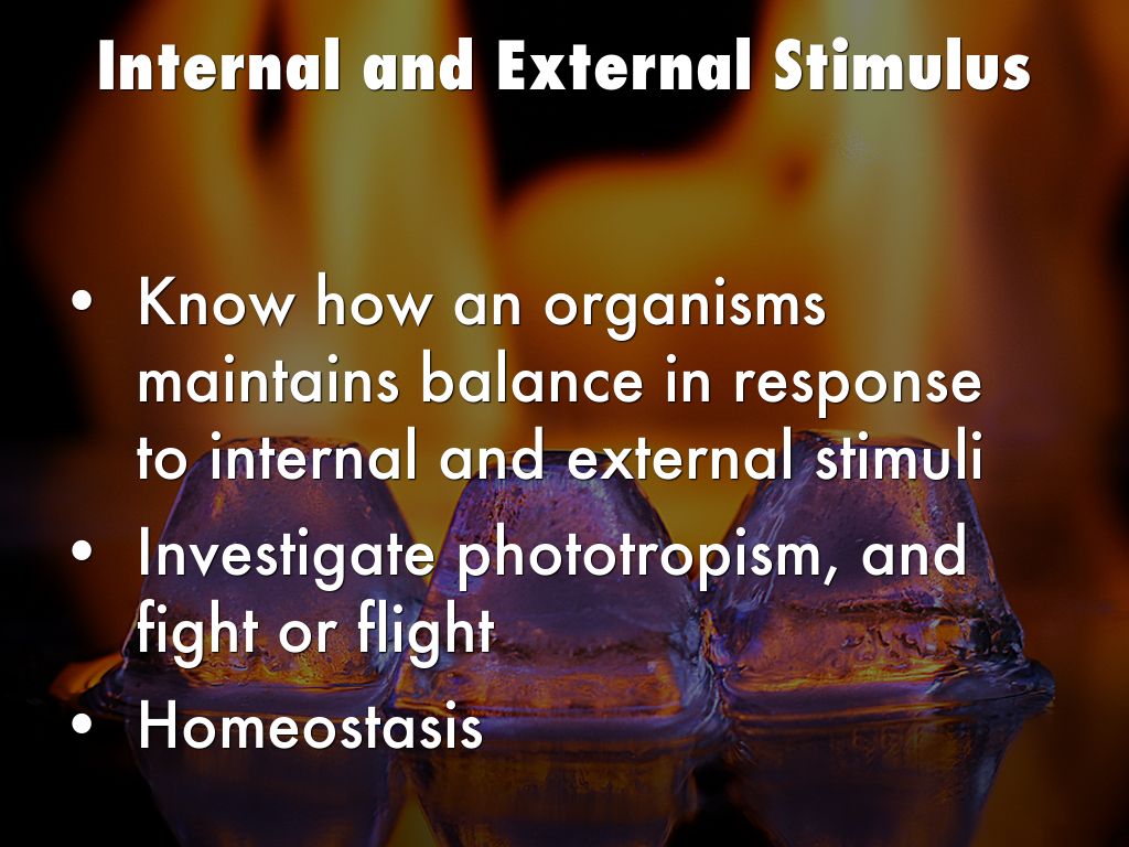 7th Science by Carla Amburn