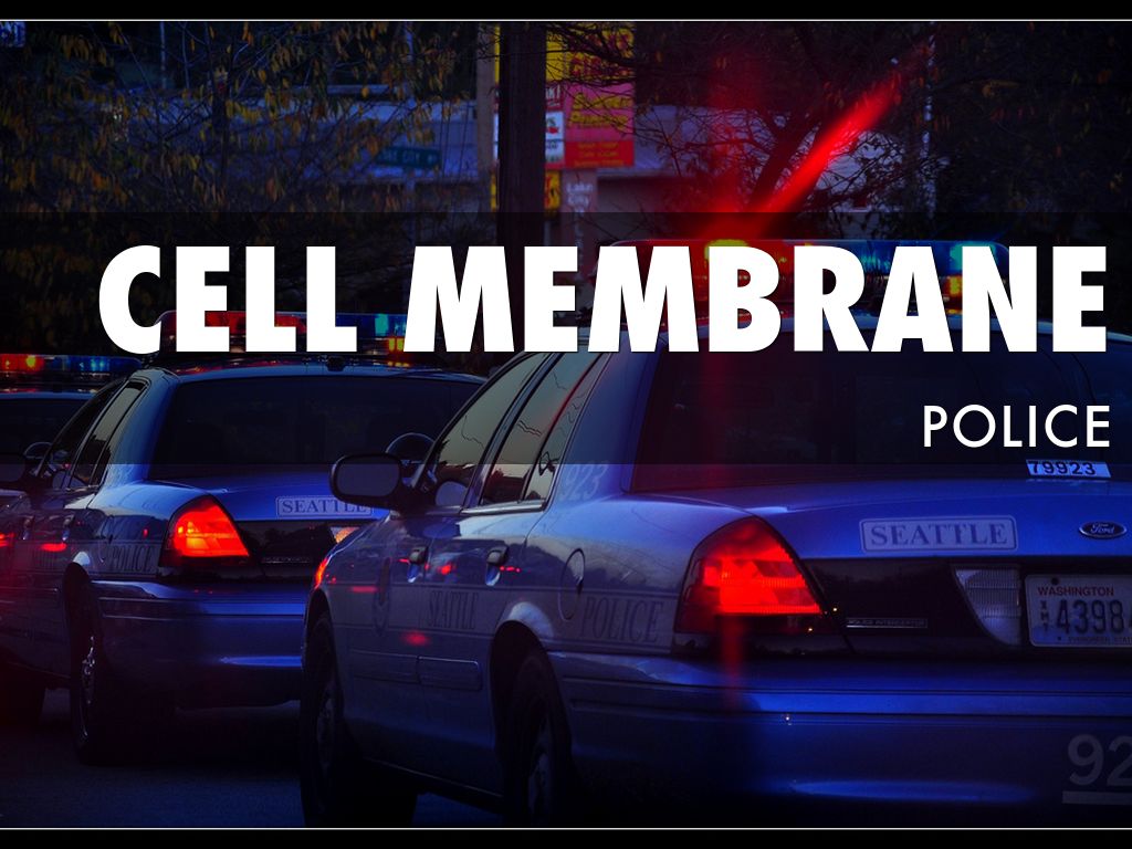 SavannahCity1 by Savannah Miller