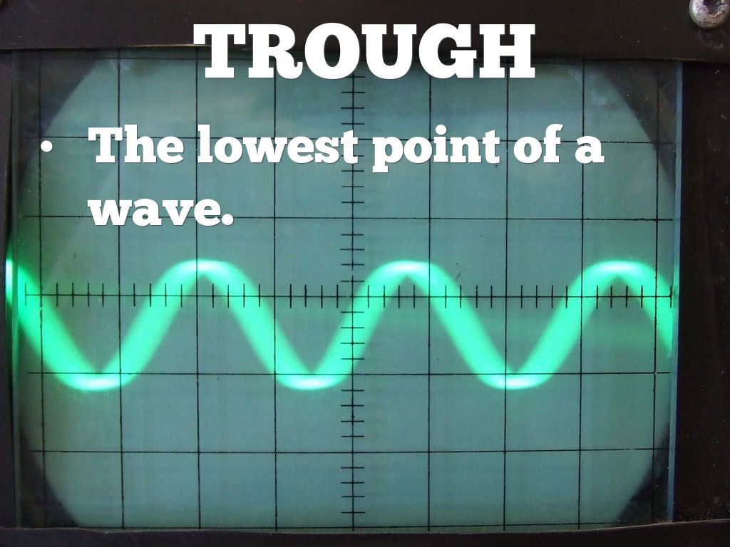 Science Presentation by Samantha Grubbs