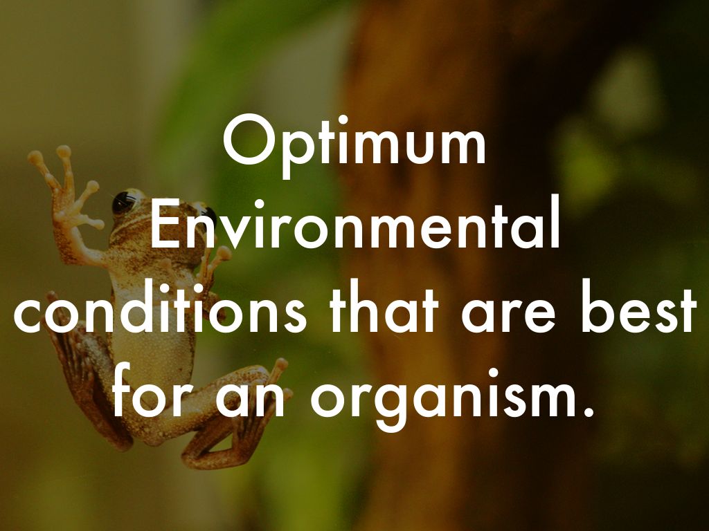 ENVIRONMENTS!🌎 by Anthony Prior