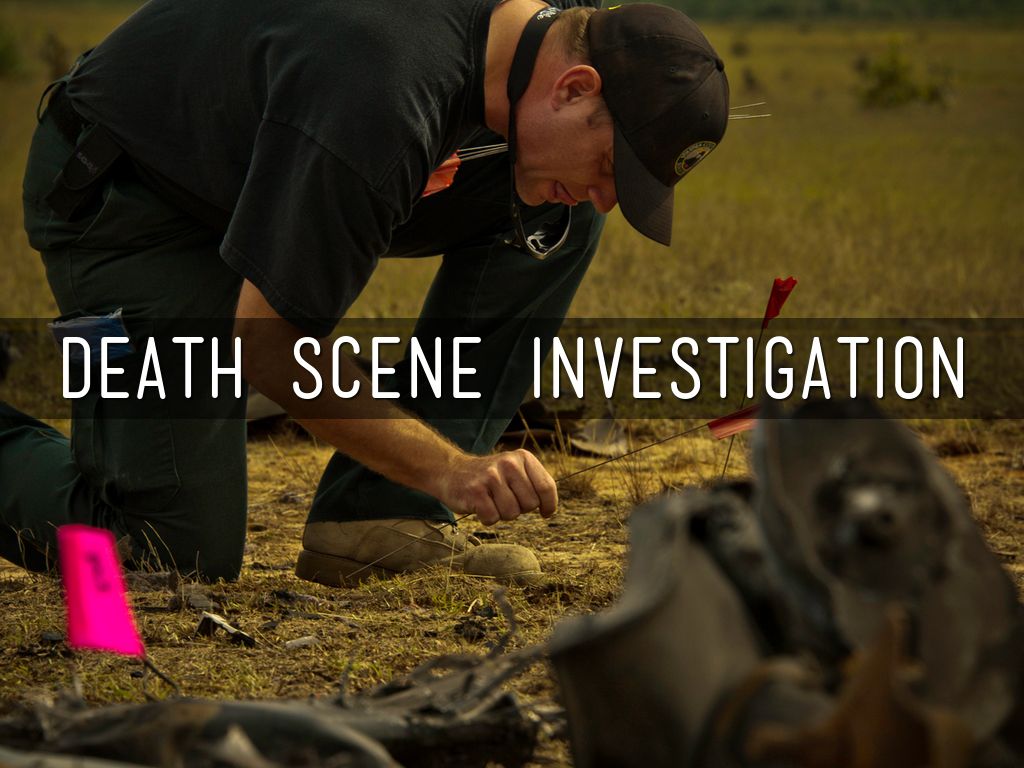 Death Scene Investigation by shlautzenheiser