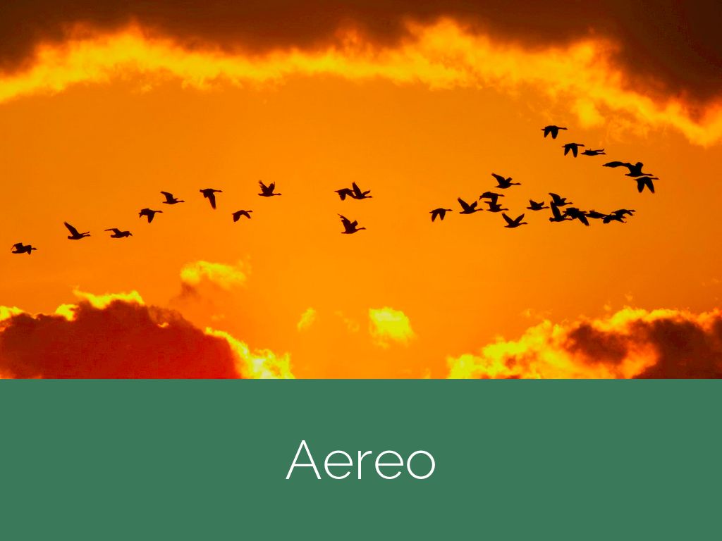 Ecosistemas by agarciacerrato