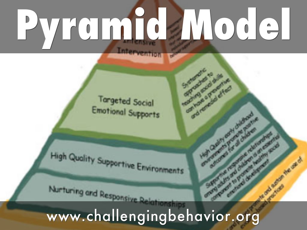 Challenging Behaviors by KELLY MCBRIDE