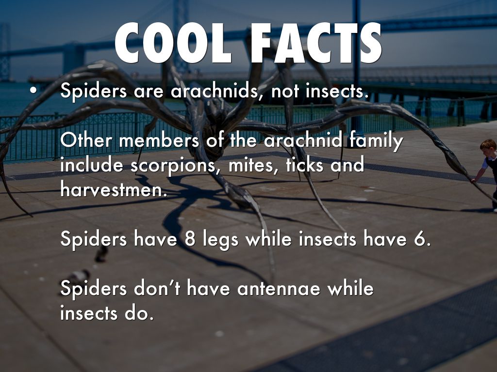 Lean And Dab by Kaleb Heath