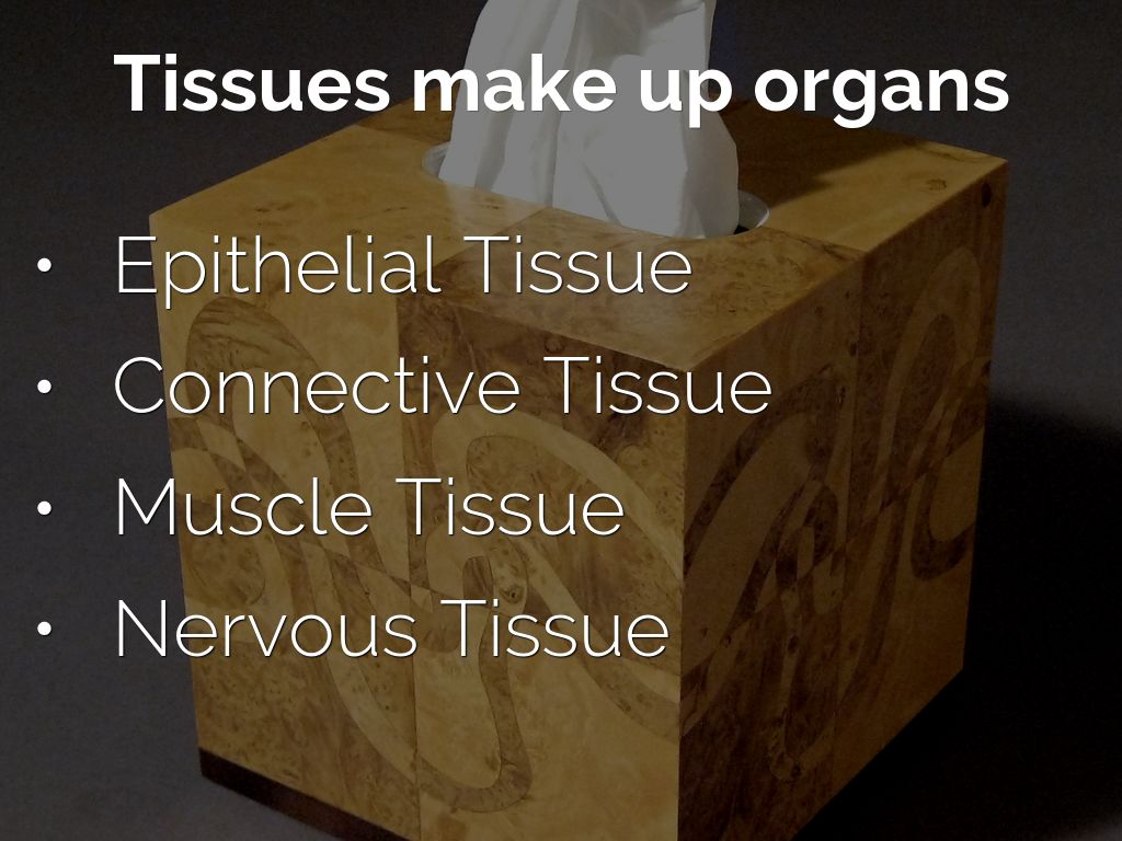Tissues make up organs by marshalll