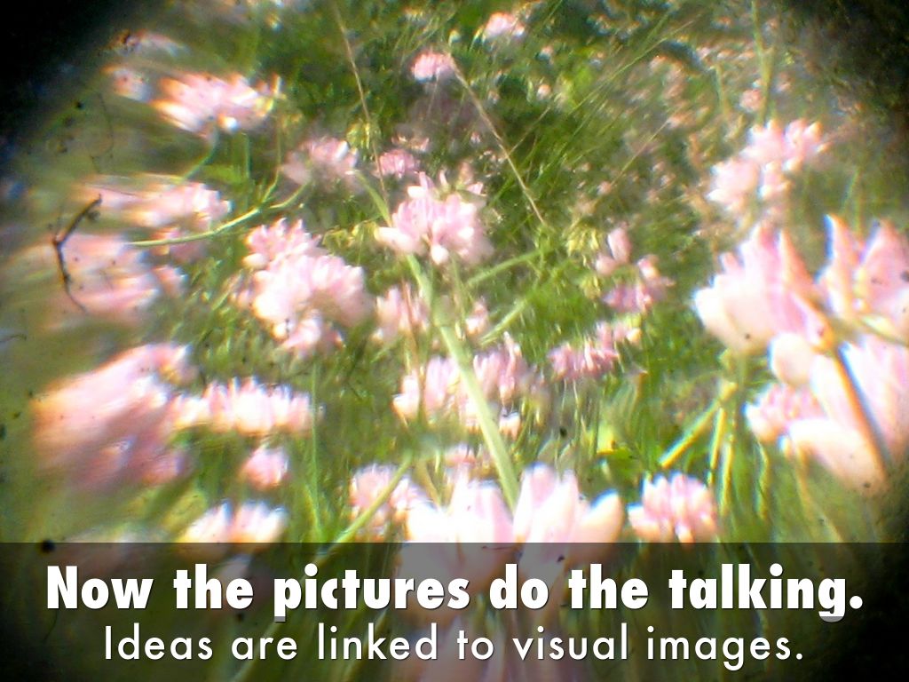 Ricketts' Haiku Deck Assignment by Robin Ricketts