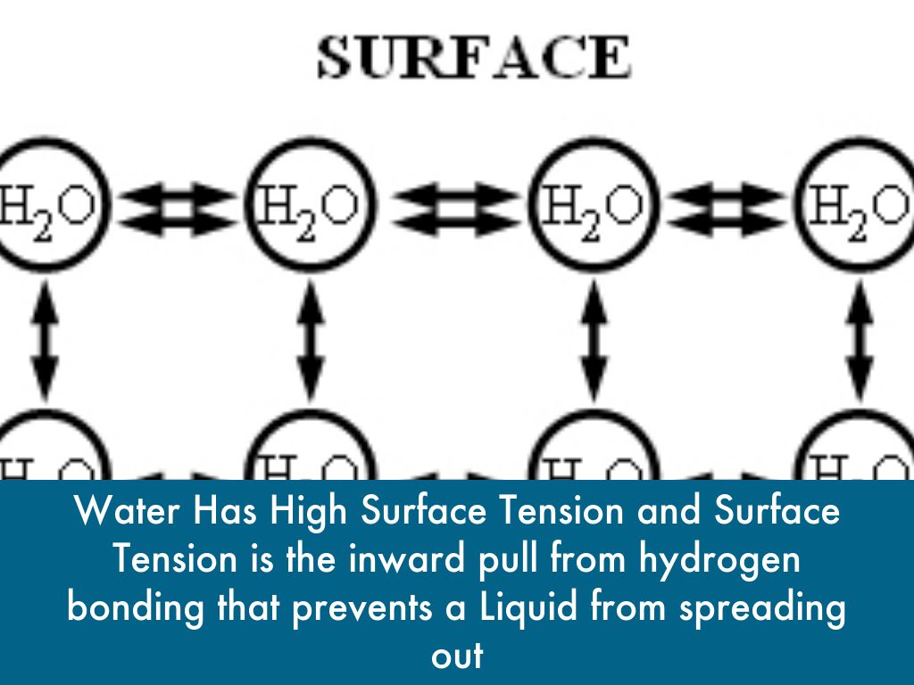 Chemical properties Of water by Leo Chavez