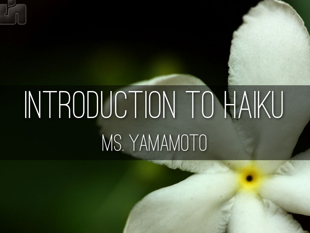 Intro by Megumi Yamamoto