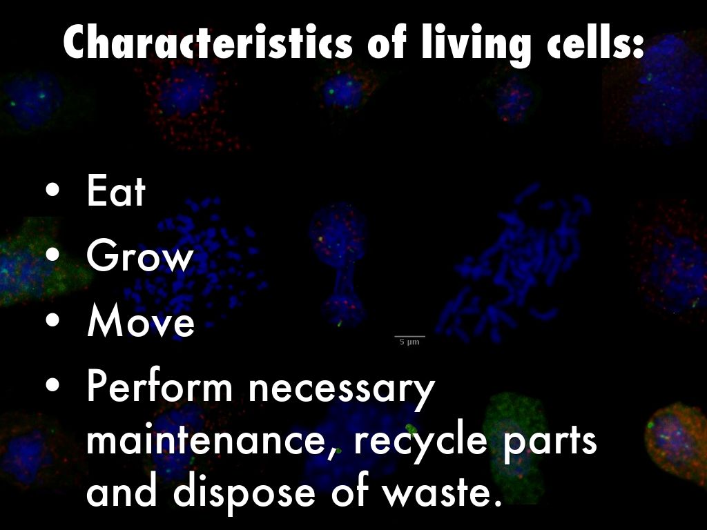 Living and Non-living Cells by Sarah Barela