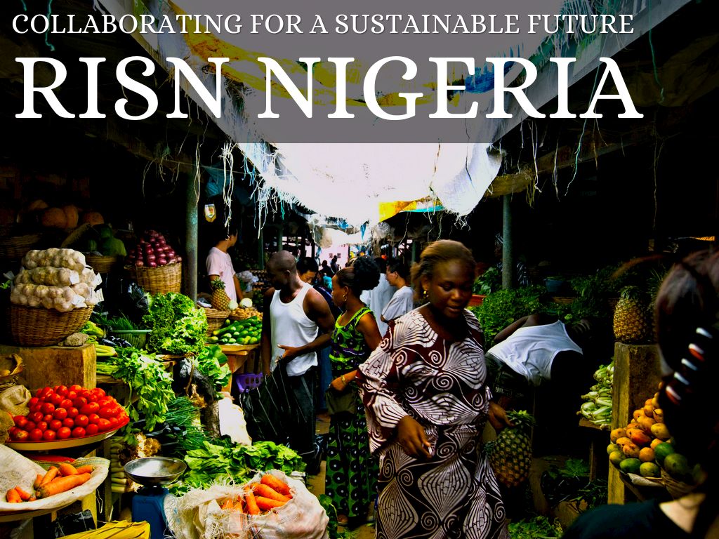 RISN Nigeria_Capstone by folarewaju