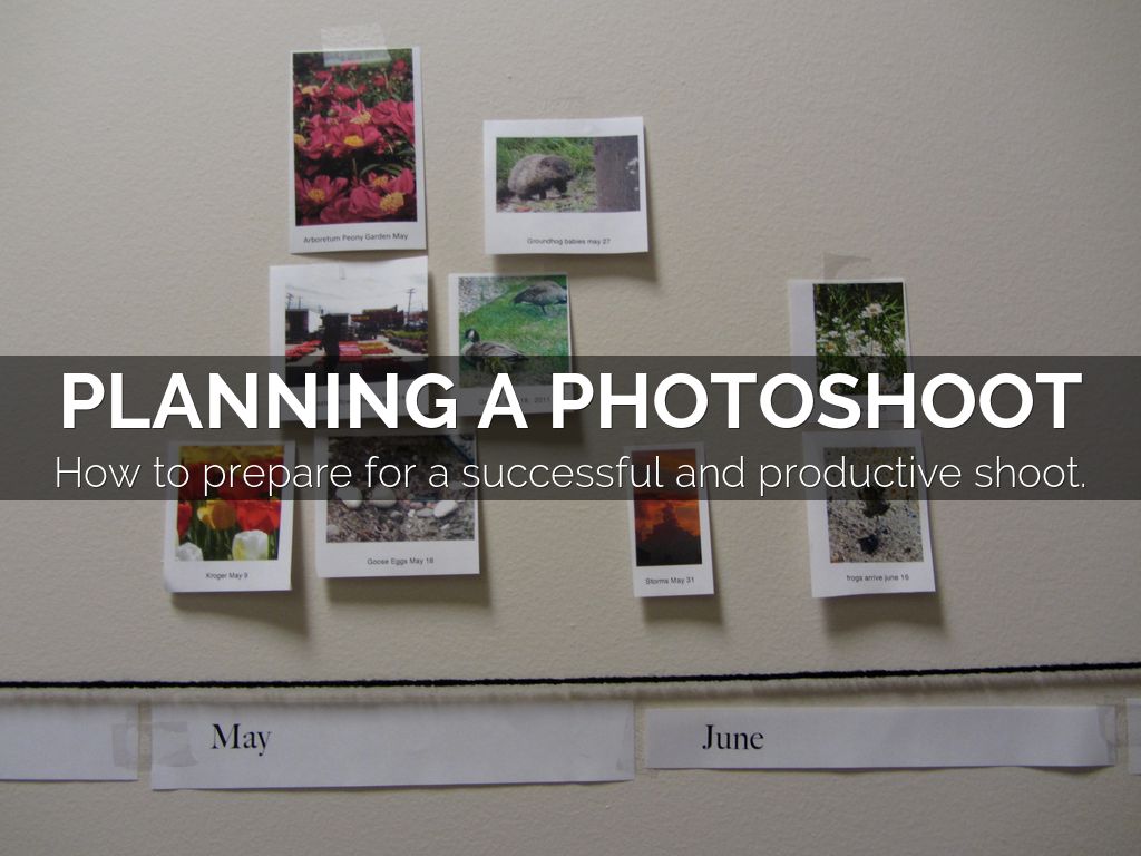 planning a photoshoot by Mrs Wild