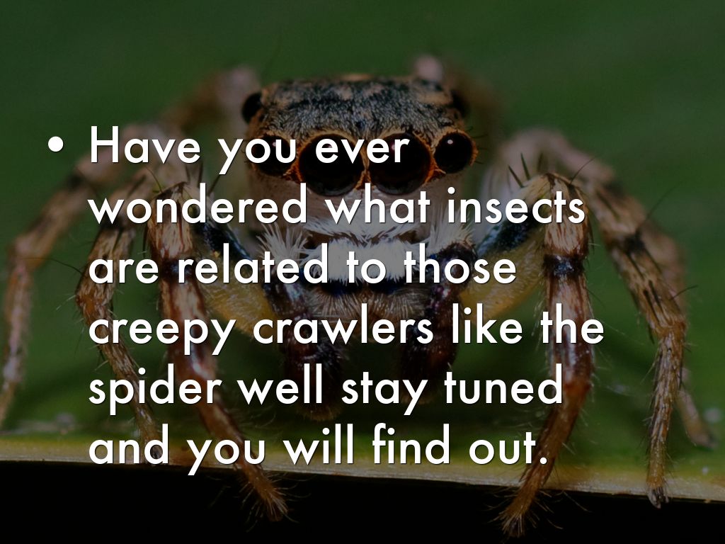 Lean And Dab by Kaleb Heath