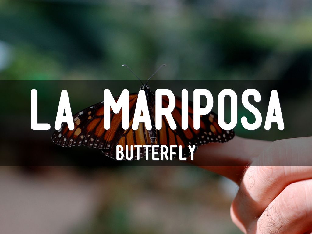 Spanish vocab 1 by Raven S