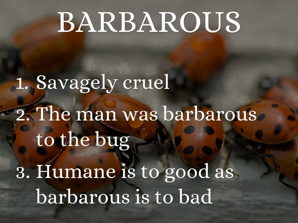 Vocabulary Project by Rachel Ezzell