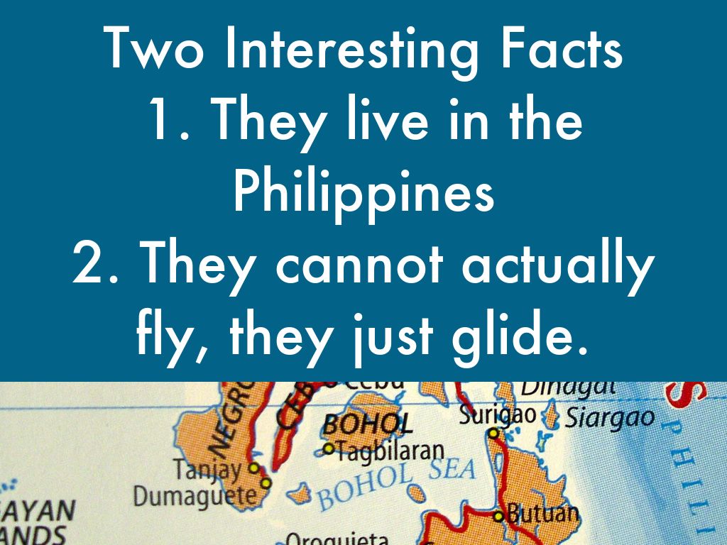 Nate Engstrom and Sean Prendiville by nlee.engstrom